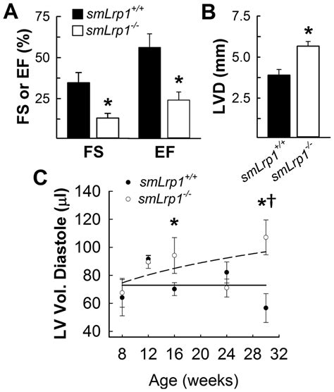 Cardiac Output And Left Ventricular Dilation A Fractional Shortening Download Scientific
