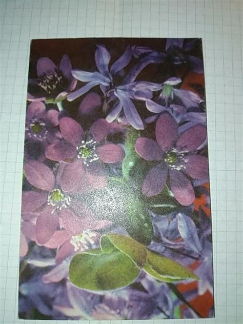 Листівка естонська вінтажна таллінн 1975 ретро листівка — ціна 15 грн у каталозі Листівки і