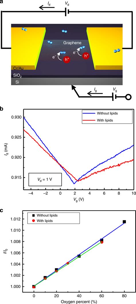 Electric Characteristics Of Graphene Fet Sensors A Schematic Image