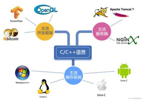 C生万物？c语言如何入门 Csdn博客