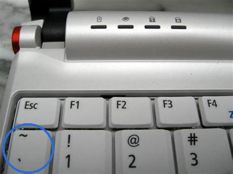 CEREBRAL BOINKFEST The Title Is Tilde