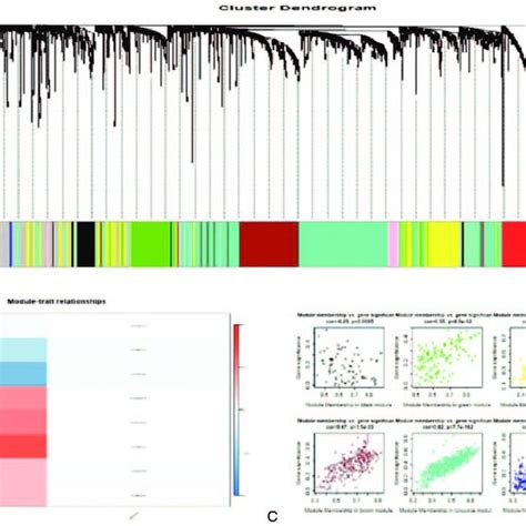 Clustering Dendrograms And Modules Identified By Wgcna A The Download Scientific Diagram