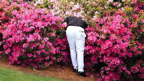 10 Rules We Choose To Ignore Australian Golf Digest