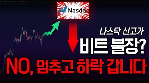 비트코인 나스닥 신고가 하지만 비트는 하락하는 통수 매직 오늘 보여드립니다 Youtube