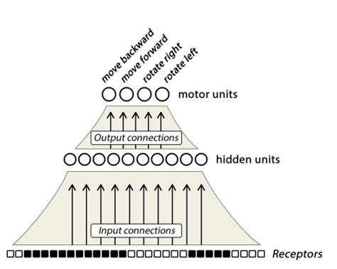 Neural Controller Of The Robot Download Scientific Diagram