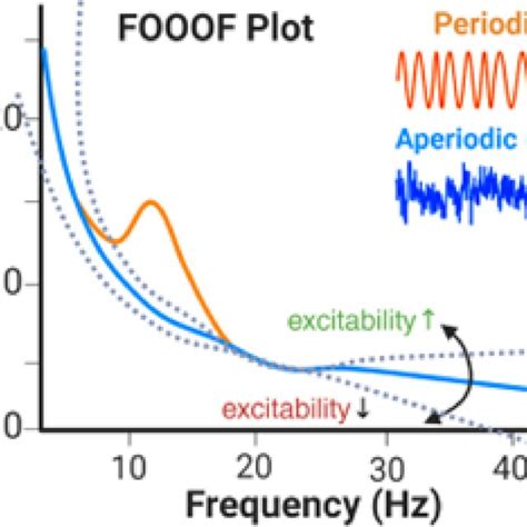 Cortical Excitability Estimation This Specparam Method Separates The