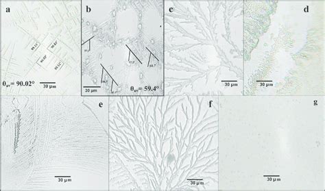 Self Assembled Patterns Of Colloidal Sulfur Particles Synthesized In Download Scientific