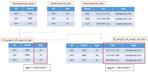 Python Codingpandasでデータフレームを結合キー結合