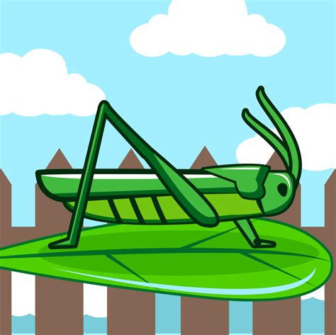 Grasshopper Free Stock Illustrations Creazilla