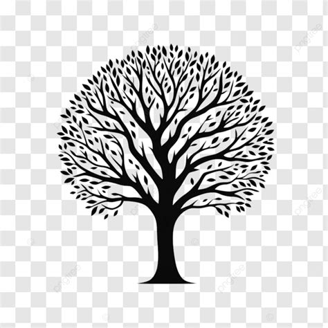 넓은 캐노피와 복잡한 가지가 있는 나무 나무 나무 삽화 나뭇잎 Png 일러스트 및 이미지 에 대한 무료 다운로드 Pngtree
