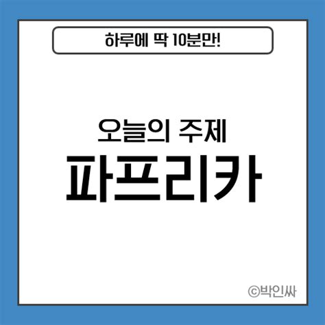 파프리카 효능 색깔별 차이와 칼로리 부작용까지 완벽정리