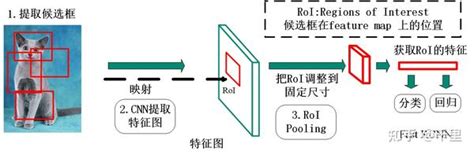 CV目标检测面试必备RCNN系列 知乎
