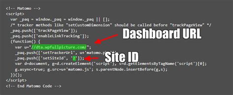 How To Install Matomo On Premise And Cloud WP Full Picture