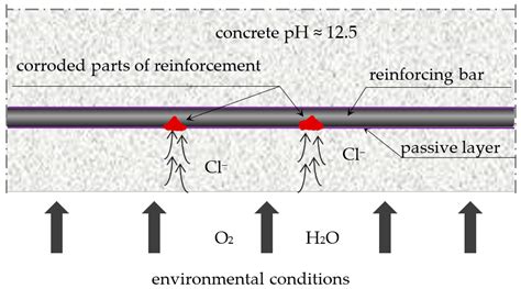 Reinforcement Corrosion Testing In Concrete And Fiber Reinforced