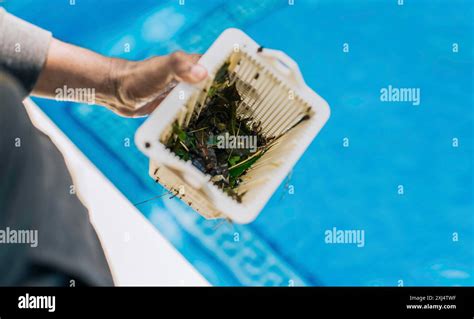 Man Cleaning Garbage Filter Basket For Swimming Pool Trash Hand
