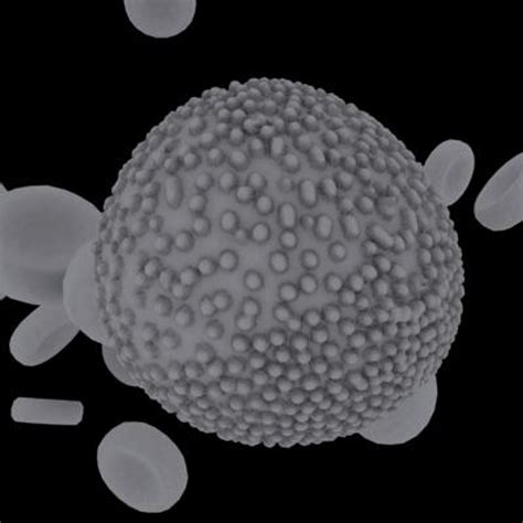 Flavivirus Virus D Model