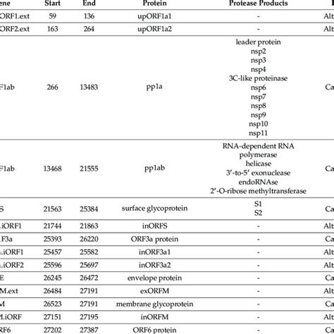 Canonical And Alternative Open Reading Frames Orf In Sars Cov 2