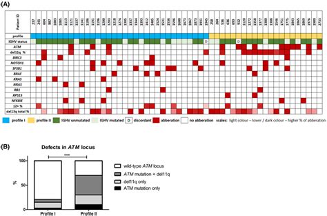 A Overview Of Results From Ngs Targeted Gene Panel Focused On