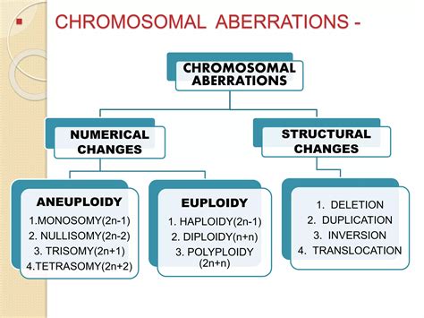 Variation Genetics Pptx