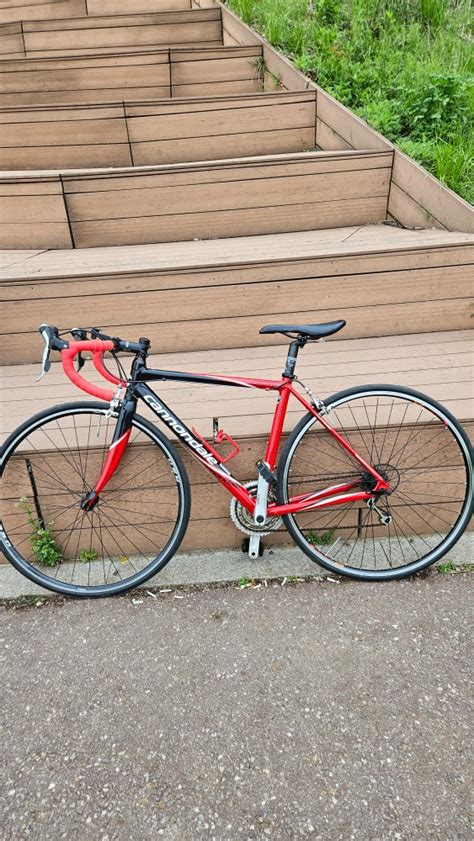 캐논데일 로드 자전거 당근 중고거래