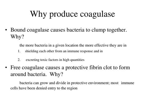 PPT Staphylococcus PowerPoint Presentation Free Download ID