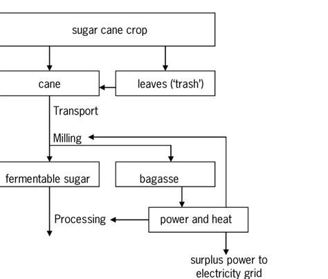 Flow Chart For Production Of Fermentable Sugar From Sugar Cane Download Scientific Diagram