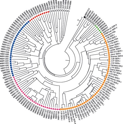 Unweighted Pair Group Method With Arithmetic Mean Cluster Dendrogram Of