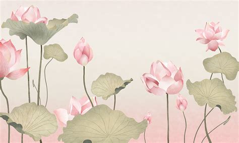 Stunning Pink Lotus Flower Wallpaper For Tranquil Spaces