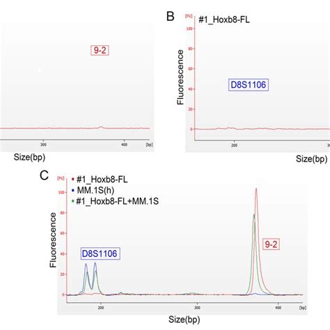 Electropherograms For The Analysis Of Fragment Lengths And The