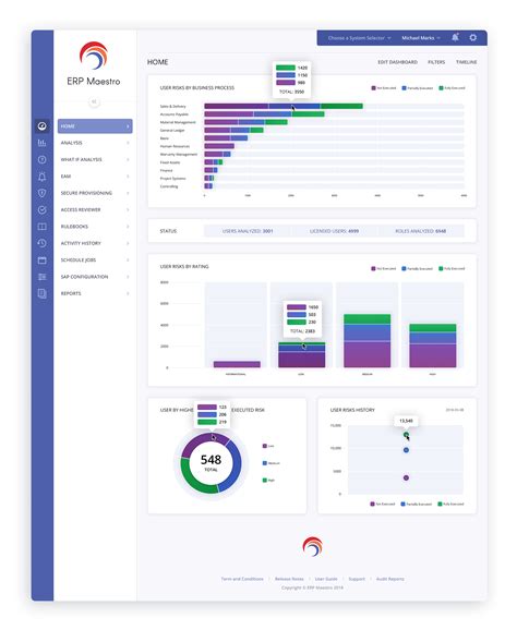 Erp Maestro Ui Ux Design — Ui Ux Brand And Web Design Agency The Skins Factory