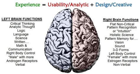 Consciousness And The Cerebral Hemispheres