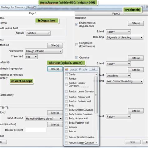 Endoscopy Findings GUI From GastrOS With Examples Of Used GUI Directives Download Scientific