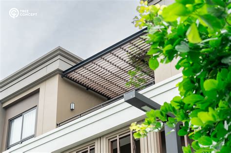 Tree Concept Tree Concept Added A New Photo