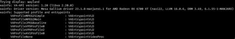 Unable To Use Hardware Decoding For Hevch265 With Rx 6700xt Manjaro
