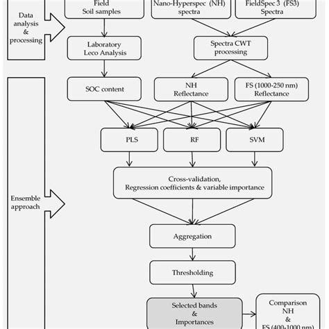 Flowchart Of The Methodology Ie Analyses Processing Steps And The Flowchart Of The Methodology Ie Analyses Processing Steps And The