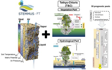 Wp4 Developing Plant And Plot Level Ecohydrological Models Using Remote Sensing Work