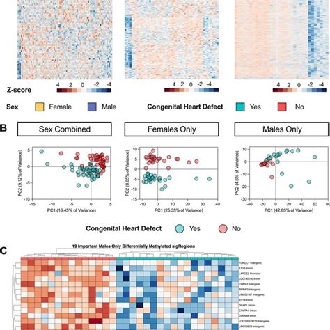 Dmr Profiles Of Chd Versus Non Chd In Bined Females Only And