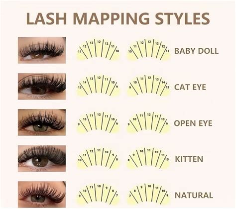 Pin By Mysty Johnson On Lash Mapping In 2025 Lashes Eyelash Extensions Lashes Fake Eyelashes