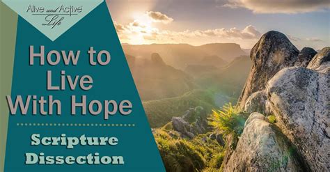 How To Live With Hope Scripture Dissection Artofit