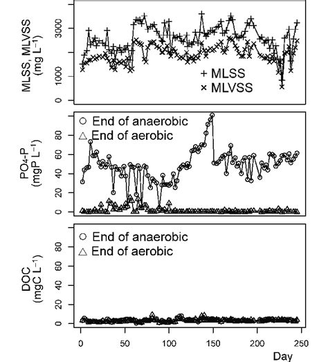 Performance Of The Laboratory Sequencing Batch Reactor Download Scientific Diagram