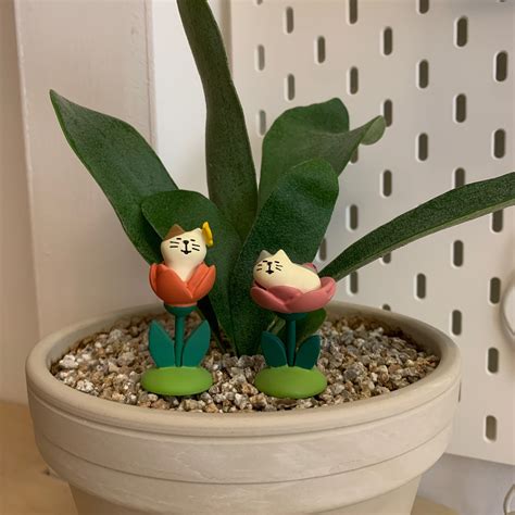 데꼴 고양이 콜리 Colley