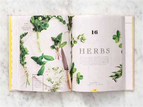 The Cookbook Is Out Sneak Peeks Love And Lemons