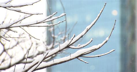 내일 날씨 작은 설 동짓날 눈 펑펑아침 영하 4도