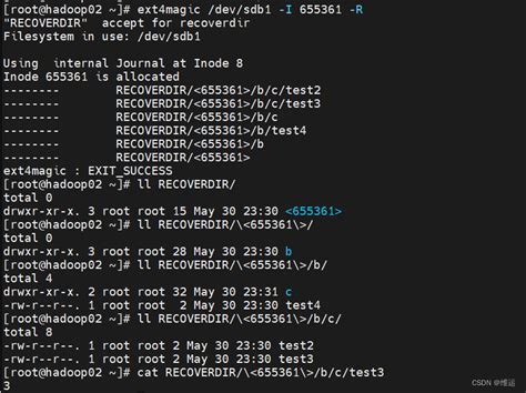 【linux 数据恢复】extundelete和ext4magic数据恢复工具使用 csdn博客