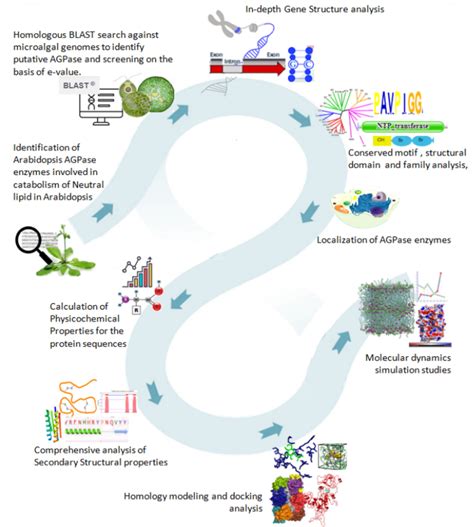 This Figure Summarizes All The Computational Methods That Were Utilized