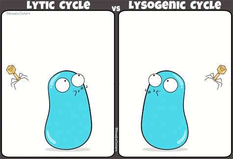 Amoeba Sisters S Biology Classroom Teaching Biology Biology Facts