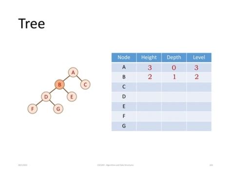 TreeNode Height Depth Lev