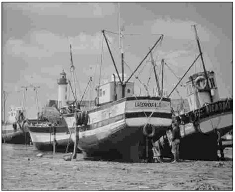 Jpeg Encoded And Decompressed Image 026bpp Download Scientific Diagram