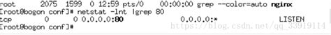 Centos7 配置好nginx，访问失败nginx容器curl 7 Csdn博客