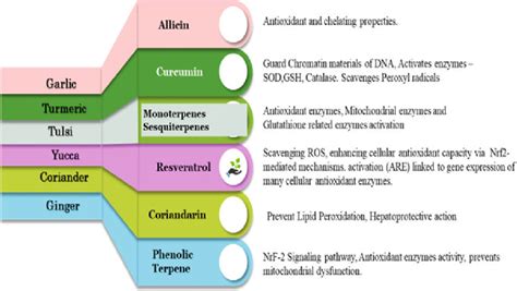 4 Bioactive Principle Of Various Herbal Additive And Their Mode Of